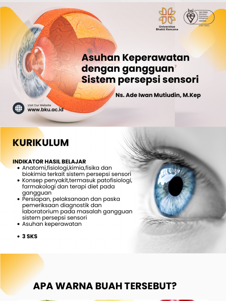 KMB Iii Askep Sistem Persepsi Sensori | PDF