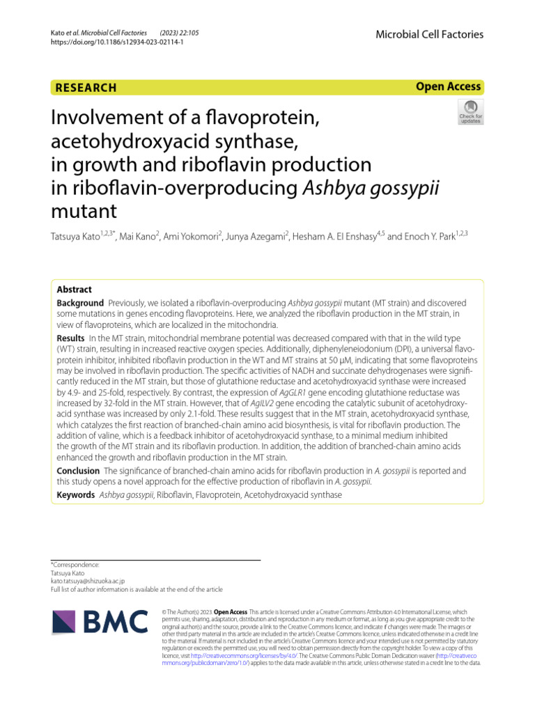Involvement of A Flavoprotein, Acetohydroxyacid Synthase, in Growth and ...