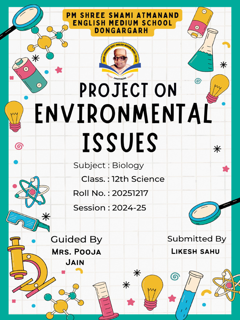 Environmental Issues Project | PDF