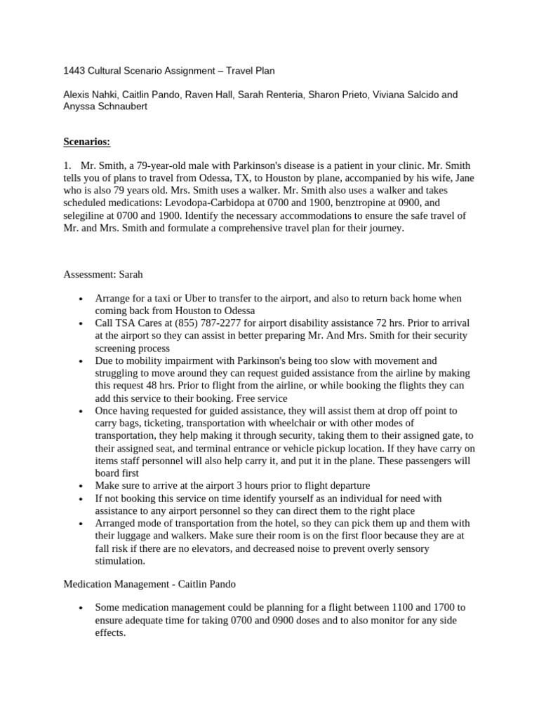 Travel Plan Group Project Part 1 | PDF | Airport | Parkinson's Disease