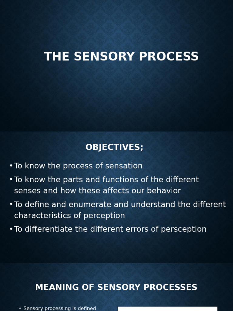 Understanding Sensory Perception | PDF | Senses | Taste