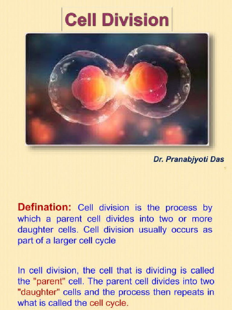 Cell Division - Mitosis and Meiosis | PDF