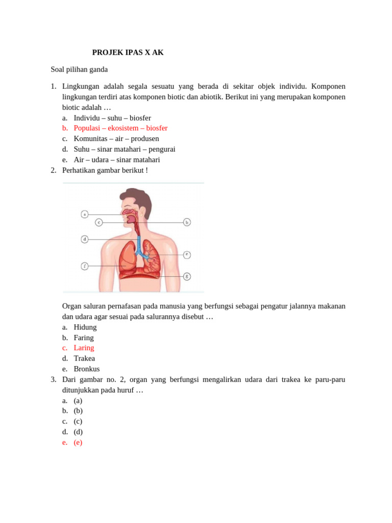 Projek Ipas X Ak | PDF