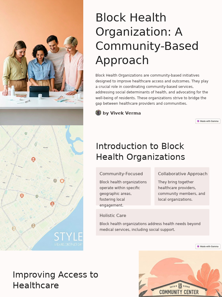Community Health Access Initiatives | PDF | Health Care | Health Equity