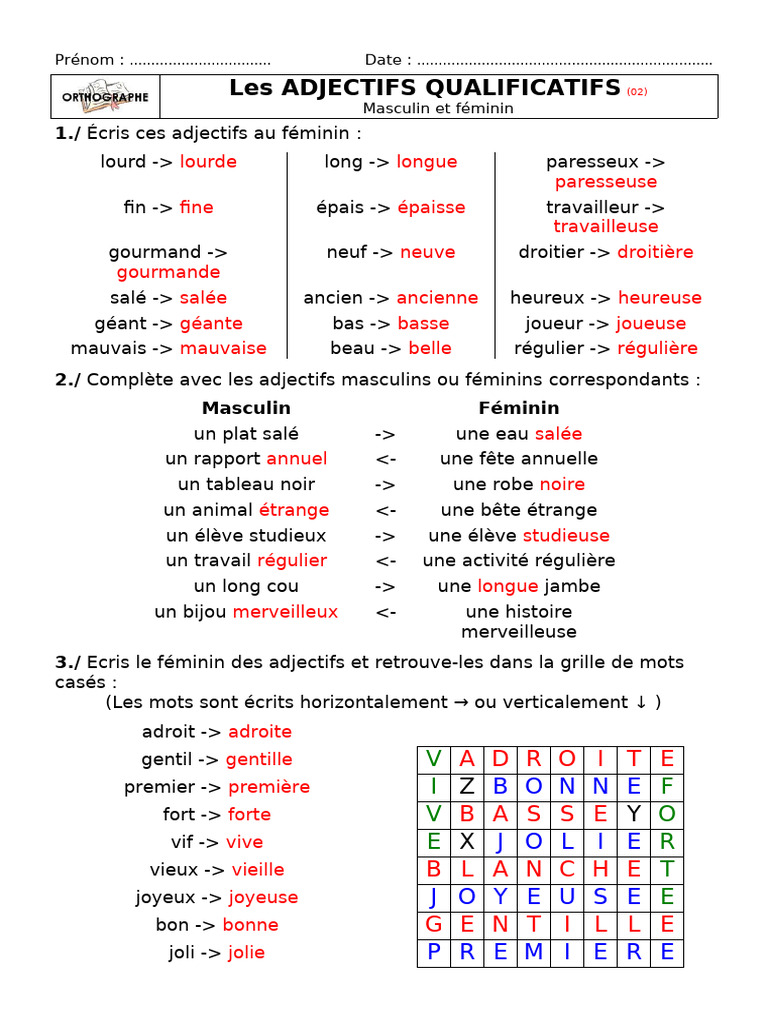 Adjectifs qualificatifs : masculin et féminin | PDF
