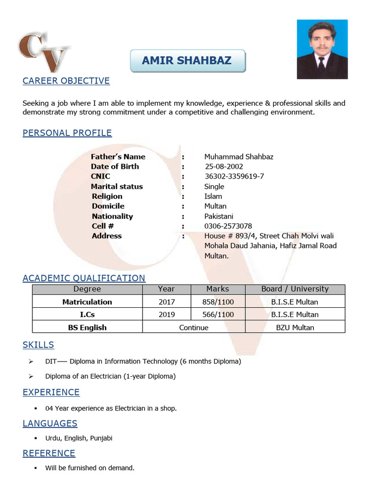 Amir Shahbaz CV | PDF