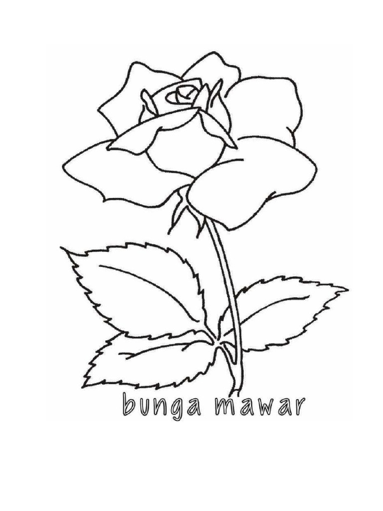 Gambar Bunga Mawar | PDF