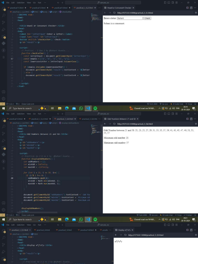 Suhani Cssoutput | PDF