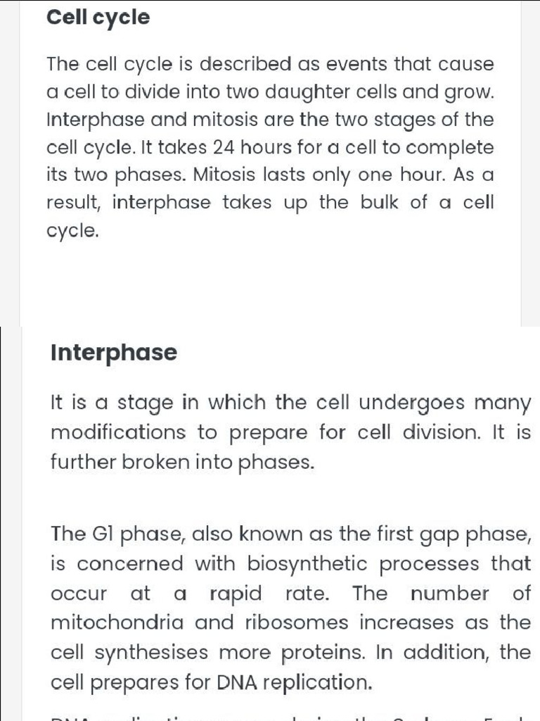 Cell Cycle and Cell Division | PDF