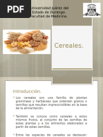 Monografia Del Centeno (Secale Cereale L.) | PDF | Plantas | Comida y bebida