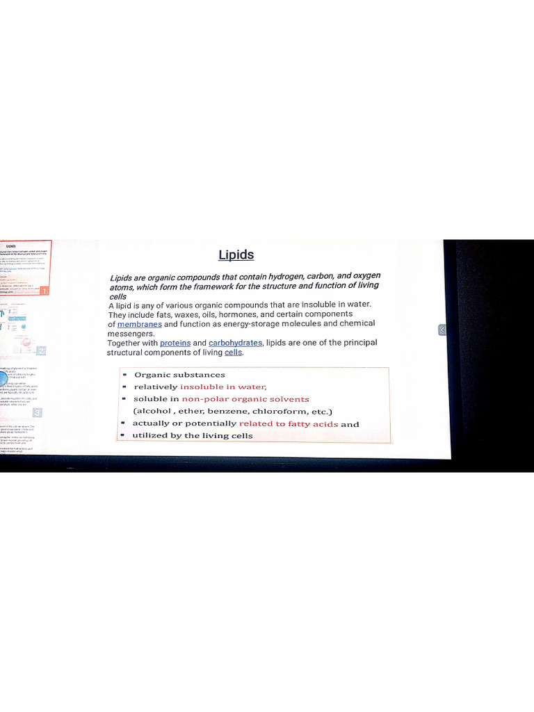 Lipids | PDF