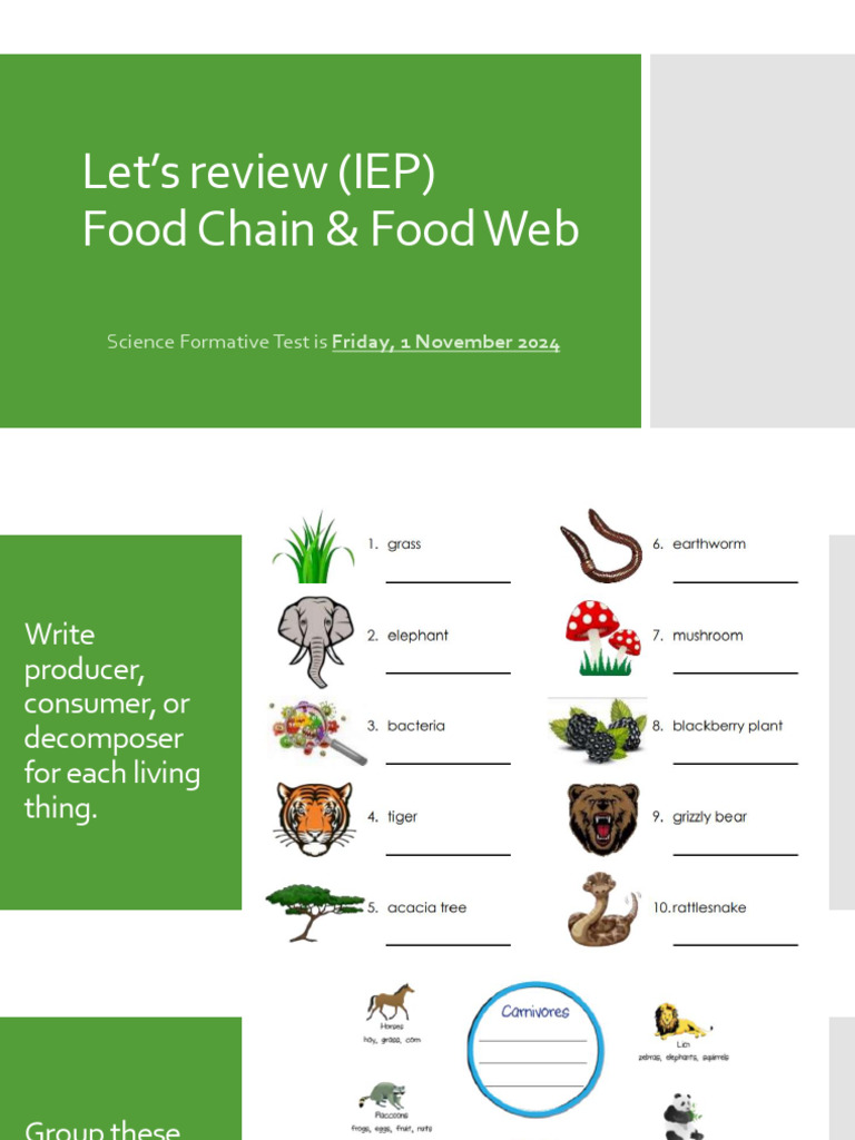 Food Chain Food Web Review (IEP) | PDF | Home & Garden | Technology ...