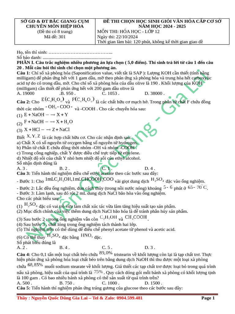 2024-2025 HSG 12 Cụm Hiện Hòa - Bắc Giang - File đề + HDC | PDF