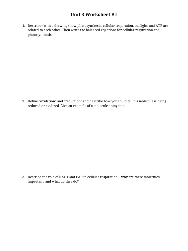 Unit 3 Worksheet 1 | PDF