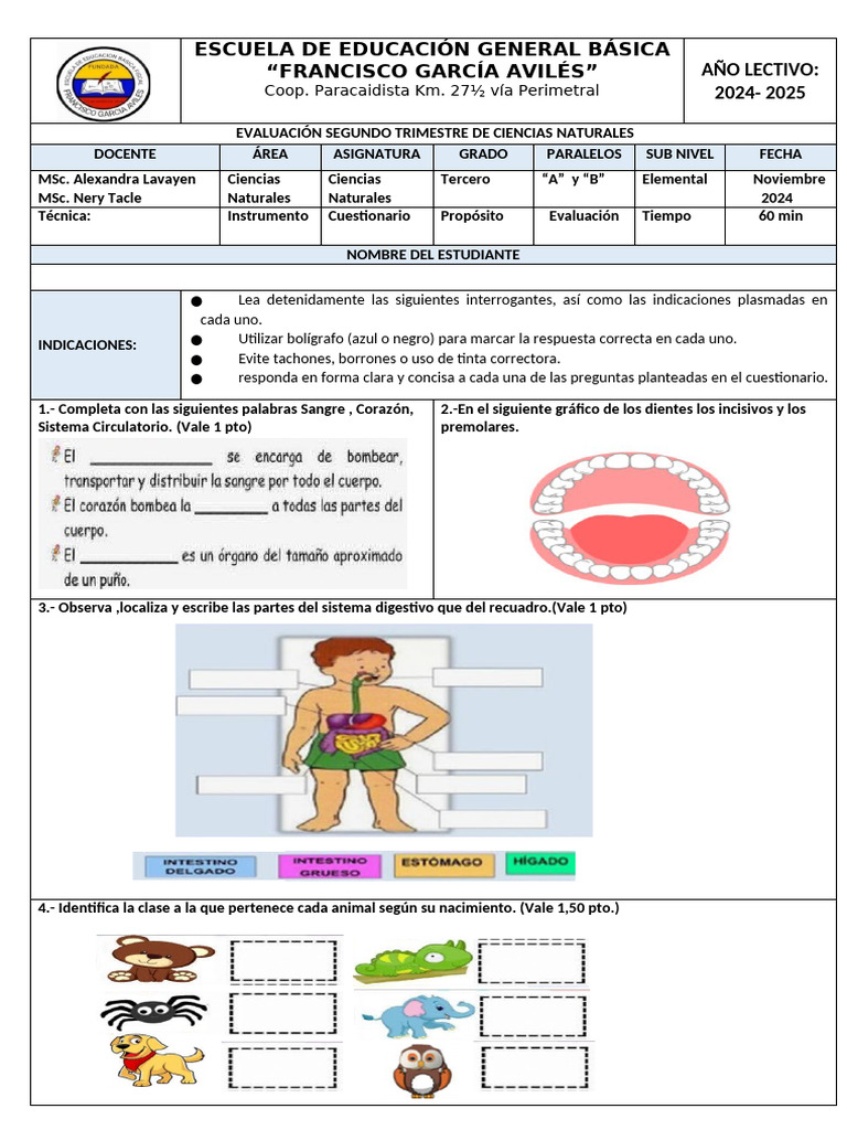 CC - NN .Exam 2do. Trim. 3ro. | PDF