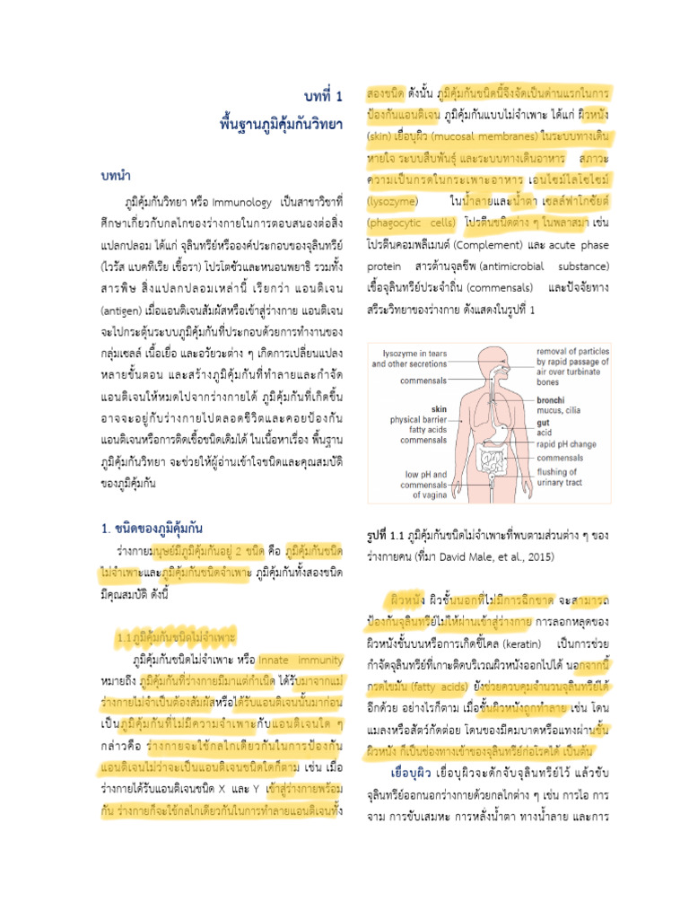 CHAPTER 1 Basic Immunology | PDF