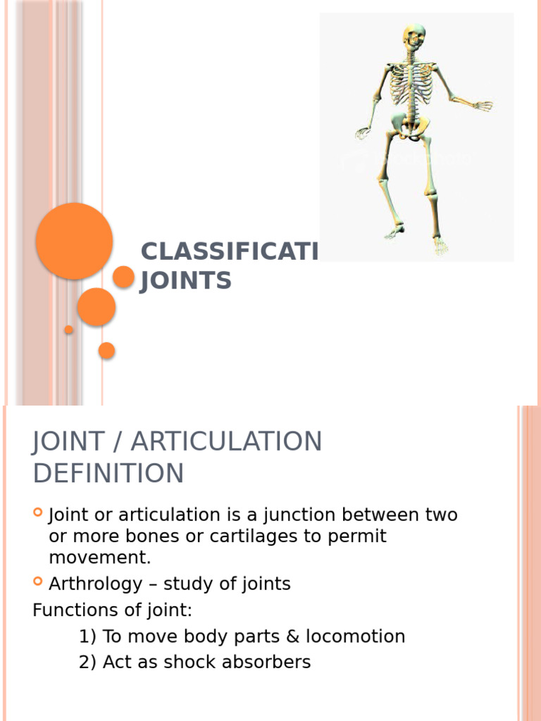 Classification of Joints | PDF | Joint | Cartilage