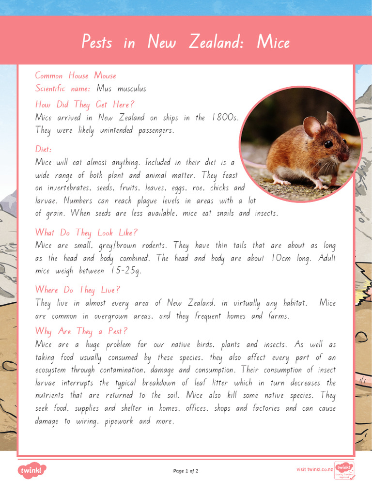 Mice Fact File - Pests in New Zealand Resource Pack One | PDF | Mouse ...