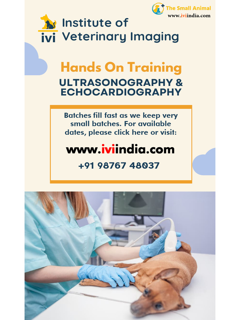 Usg Echo DR Mahan Hands On Training | PDF