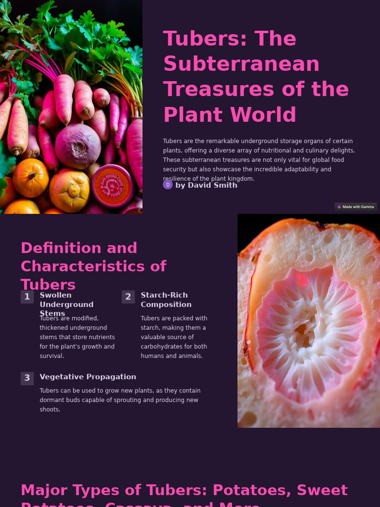 Nutritional and Agricultural Value of Tubers | PDF | Potato | Sweet Potato