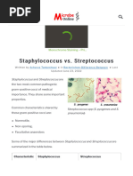 Microbiology: Staph vs. Strep | PDF | Streptococcus | Staphylococcus