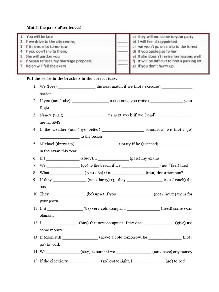 Worksheet If Conditional 1 SD | PDF