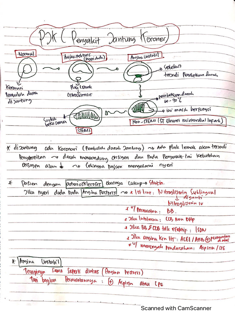 New Materi Pertemuan 16 (PJK STROKE) | PDF