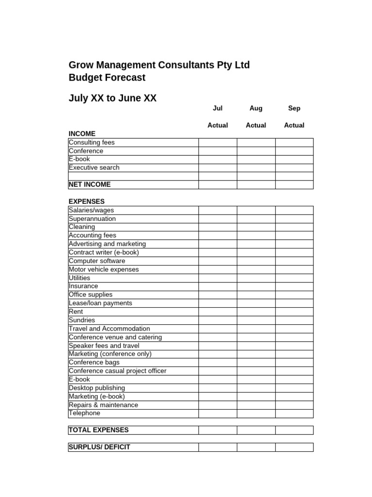 Budget Forecast Template for Consultants | PDF