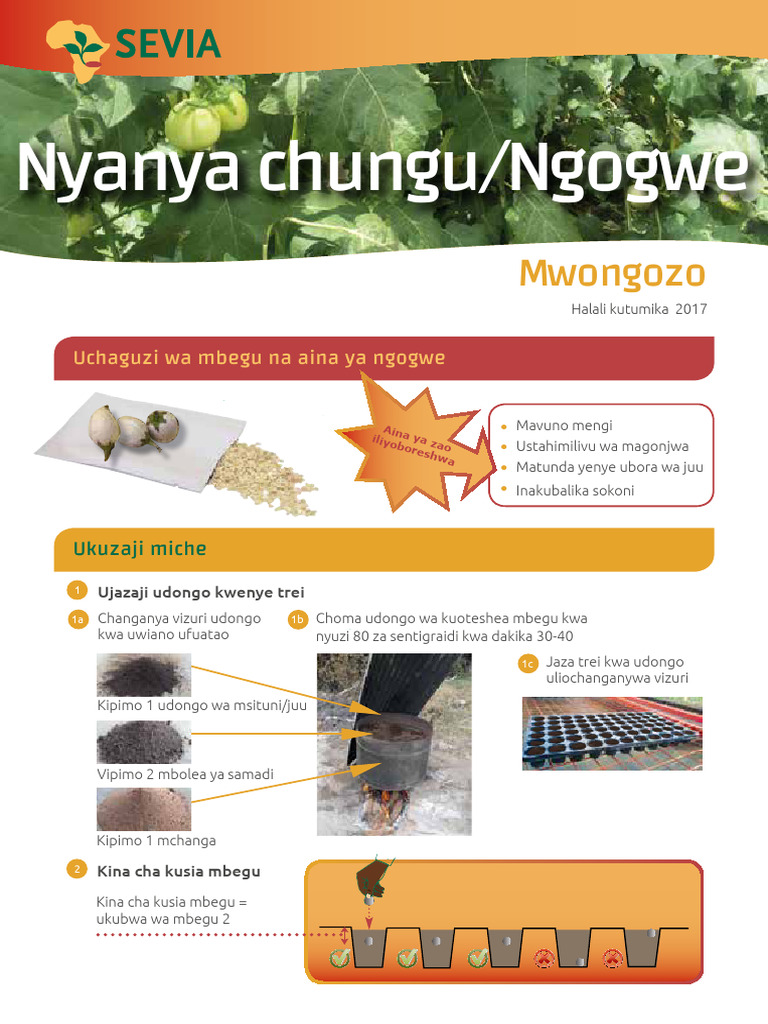 African Eggplant Swa | PDF