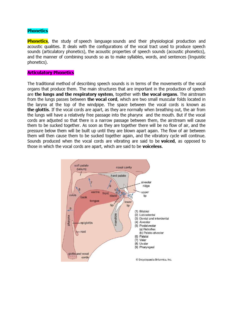 Phonetics and Phonology | PDF | Phonetics | Phoneme