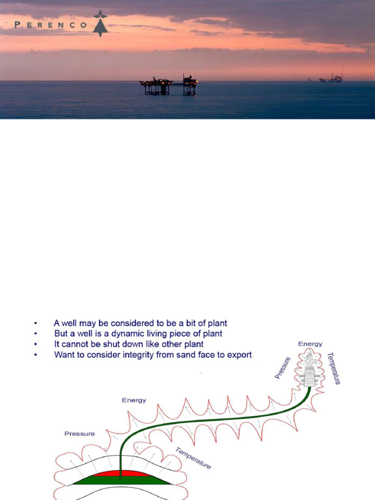 Introduction To Well Integrity | PDF | Casing (Borehole) | Corrosion