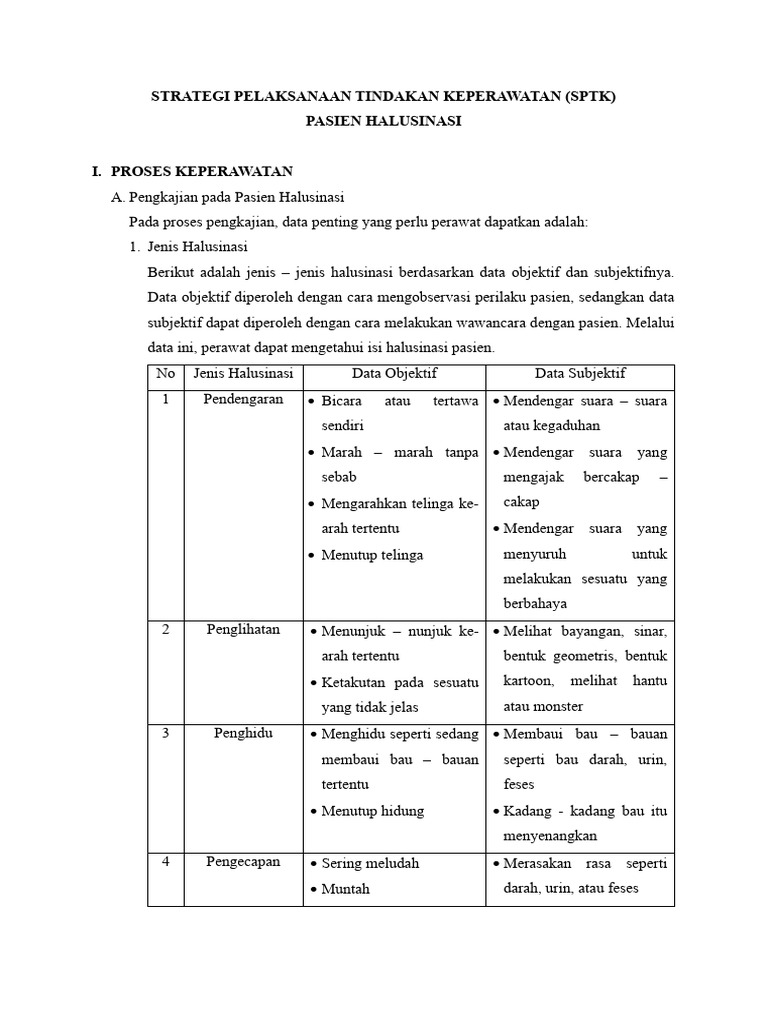 SPTK Halusinasi Kelompok | PDF