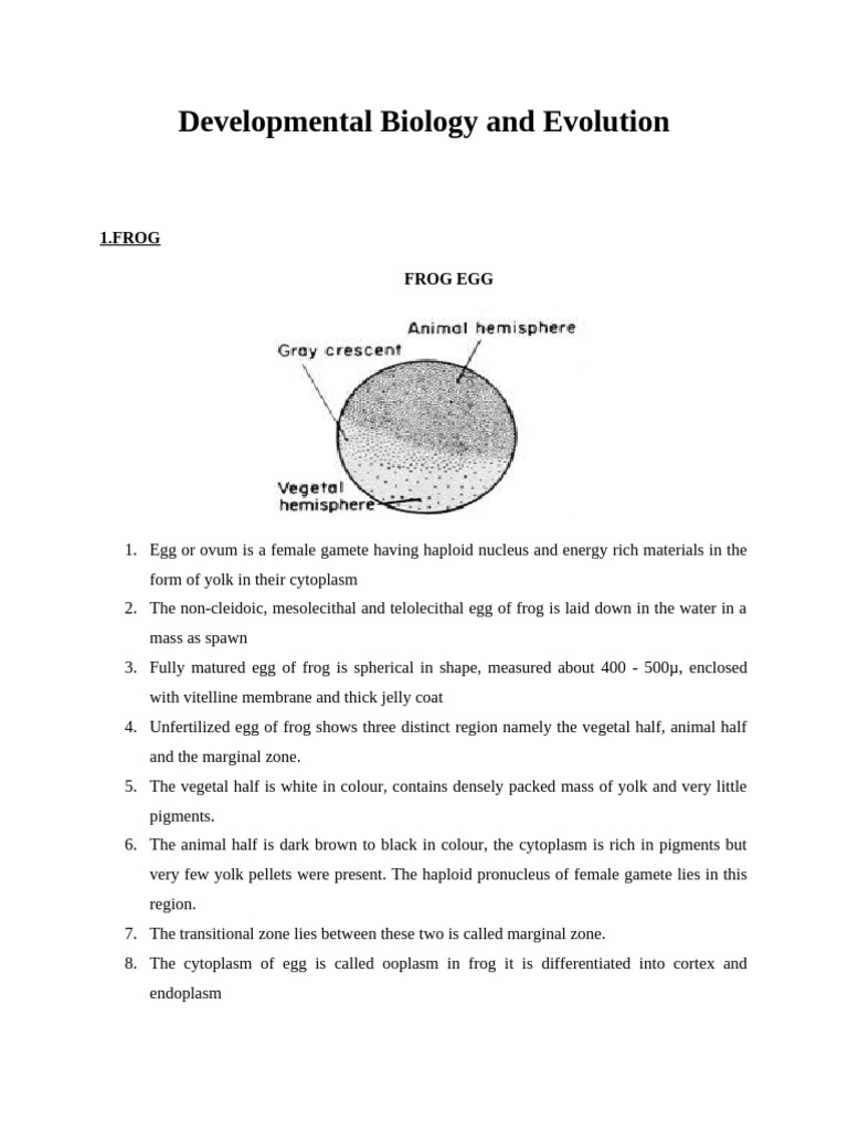 Frog and Chick Embryo Development | PDF | Egg | Placenta