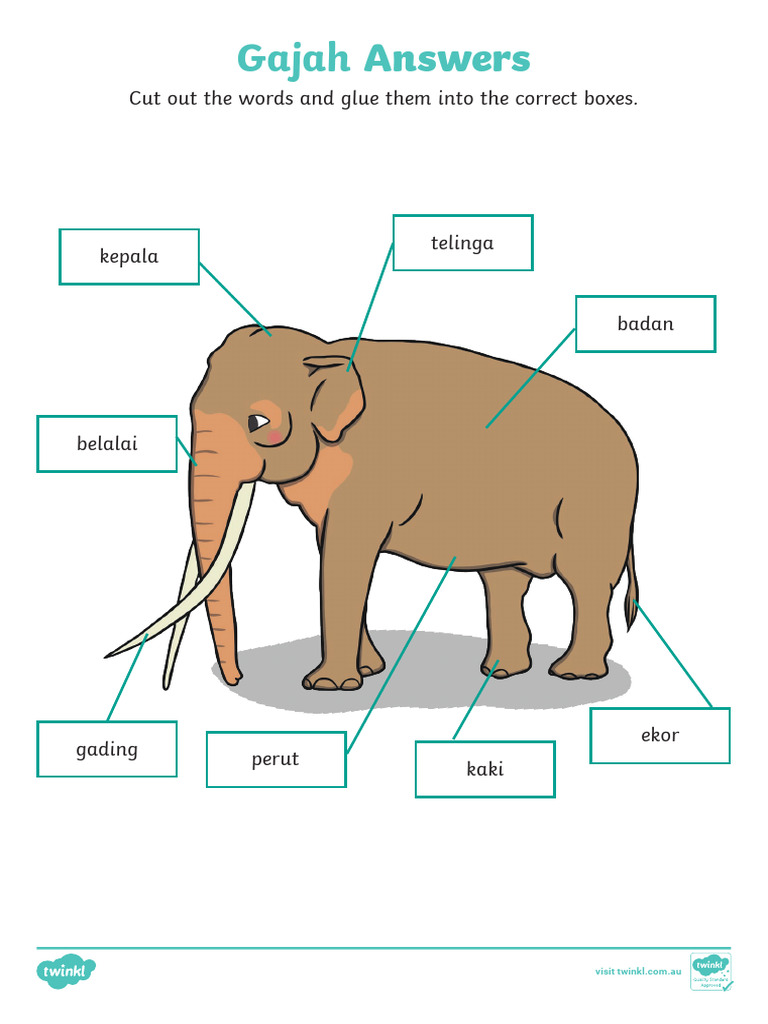 Elephant Answers | PDF