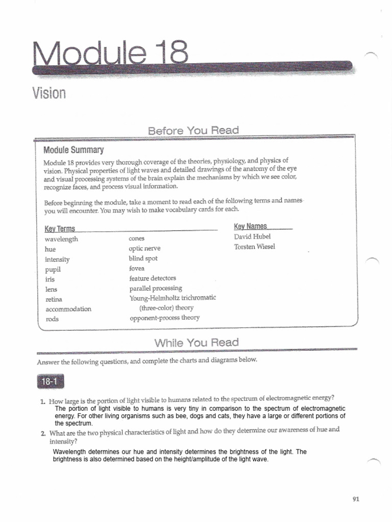 Ap Psych Myers Unit 4 Module 18 Packet Pdf Color Visual Perception 5484