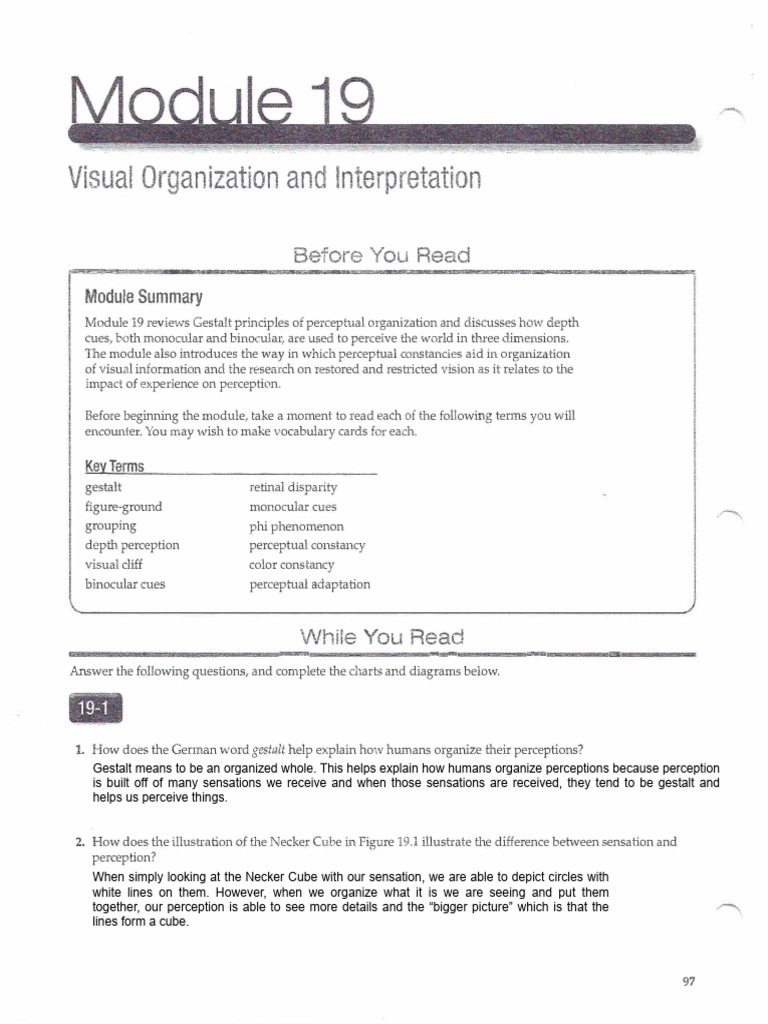 Unit 4 Module 19 Packet | PDF | Perception | Color