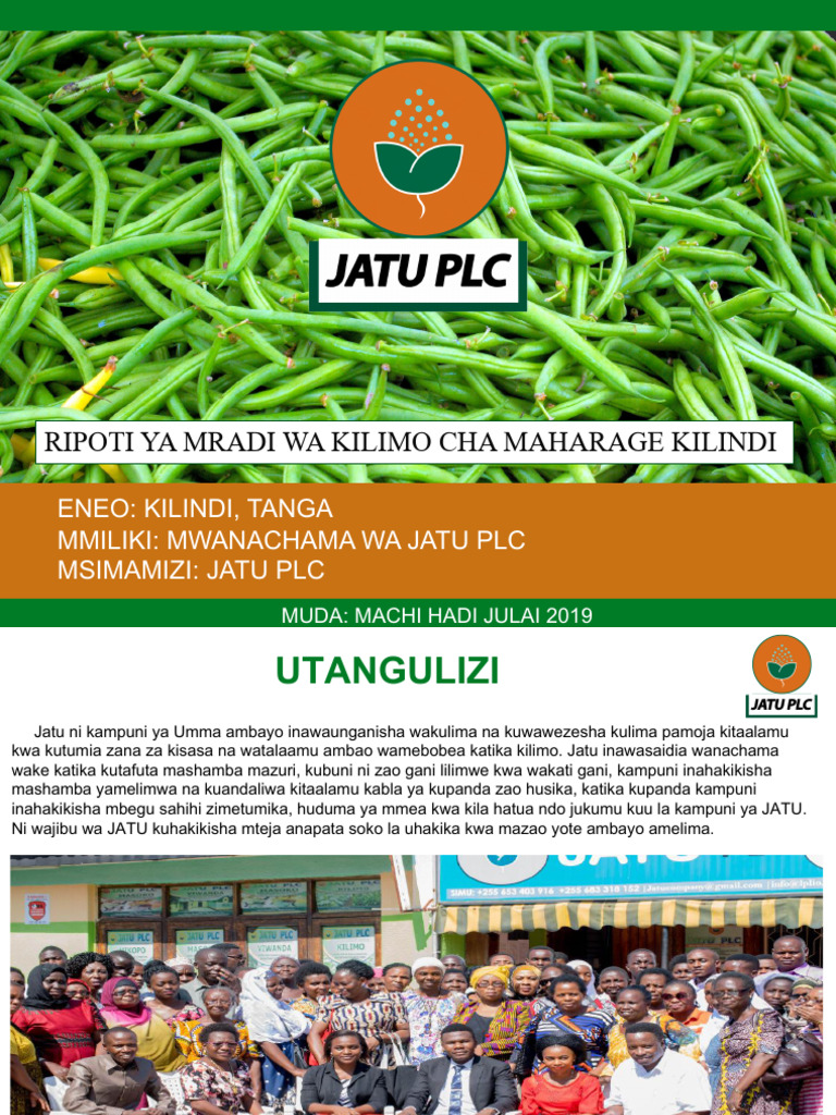 Ripoti Ya Kilimo Cha Maharage | PDF
