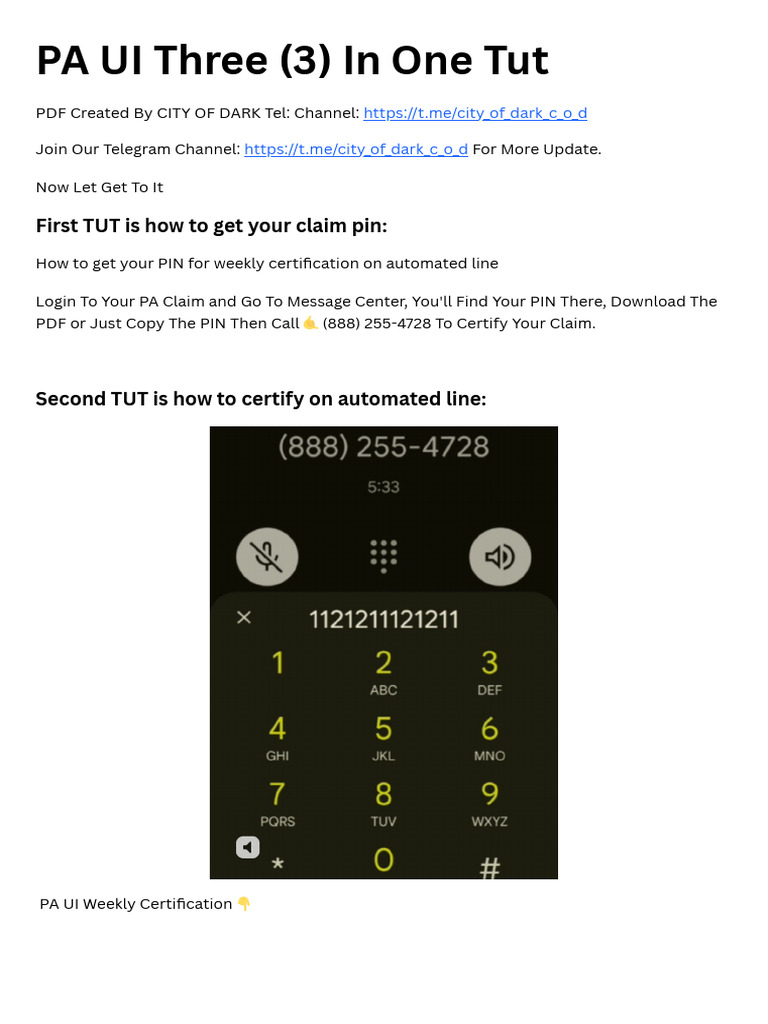 PA UI Claim Certification Guide | PDF