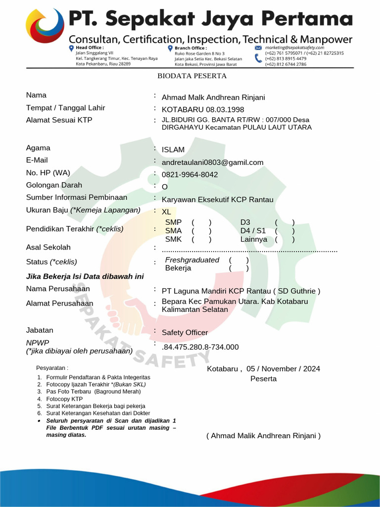 Form Biodata 2024 | PDF