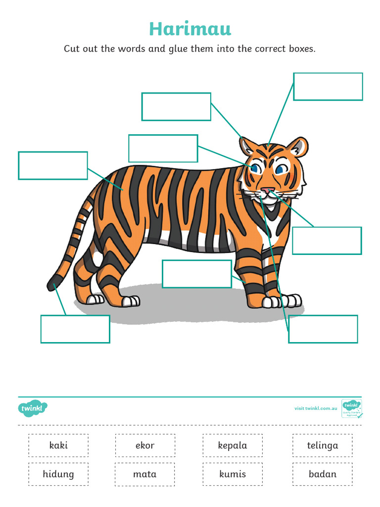 Indonesian Animal Parts Activity | PDF | Home & Garden