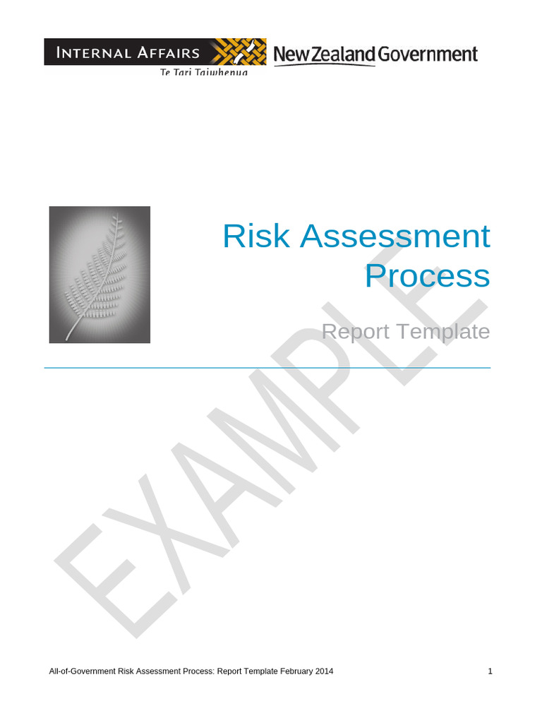Risk Assessment Process Template | PDF | Risk | Vulnerability (Computing)