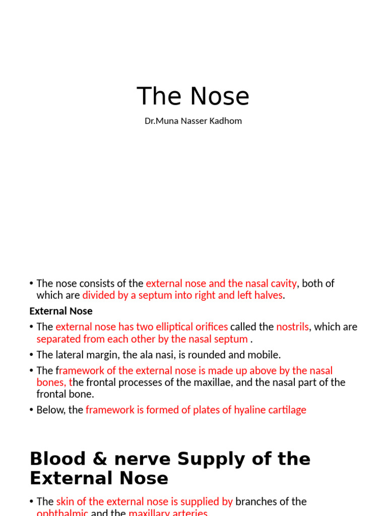 Nose Anatomy 2 Pdf Human Nose Rhinology