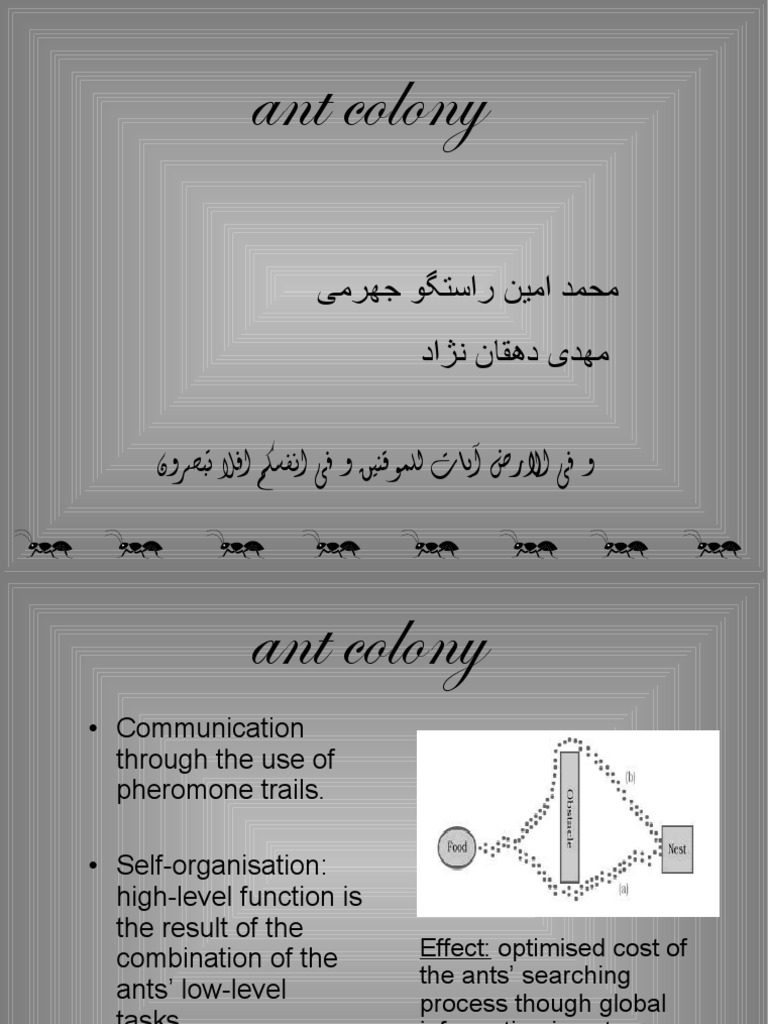 Ant Colony | PDF | Theoretical Computer Science | Algorithms