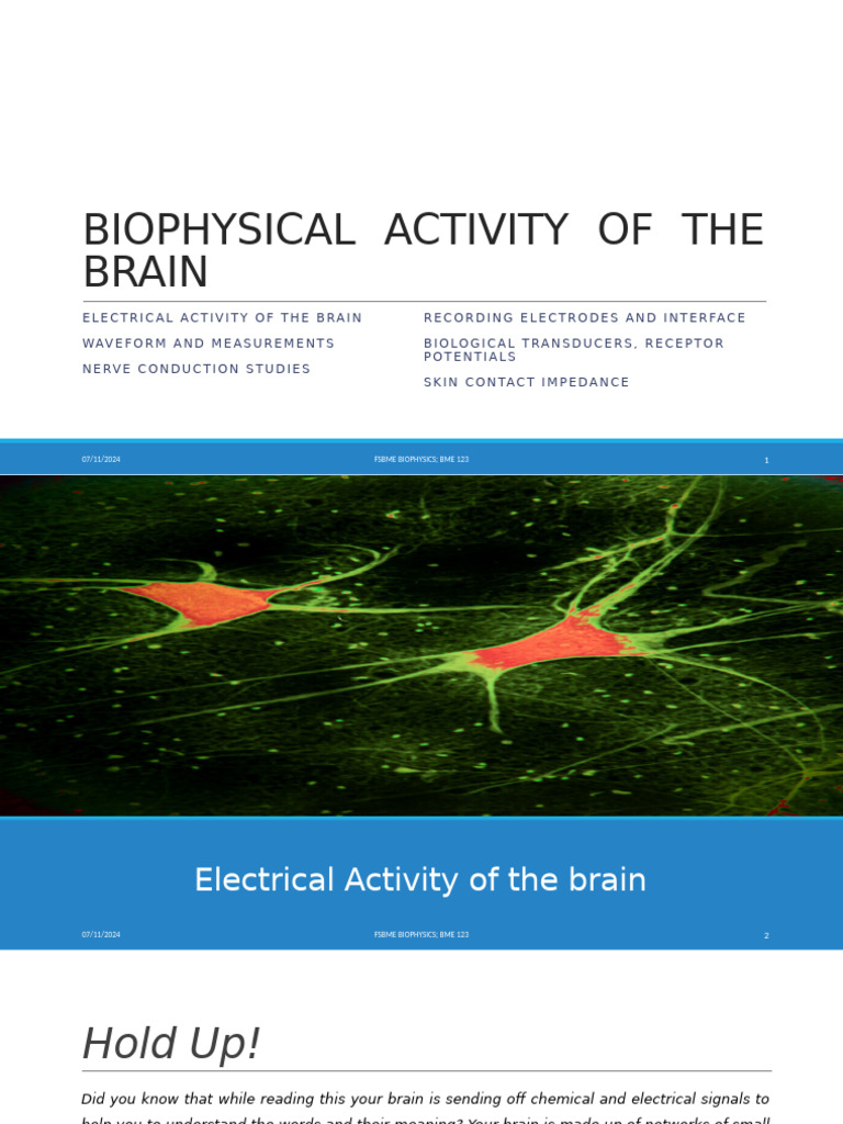 Biophysical Activity of The Brain | PDF | Electroencephalography | Nerve