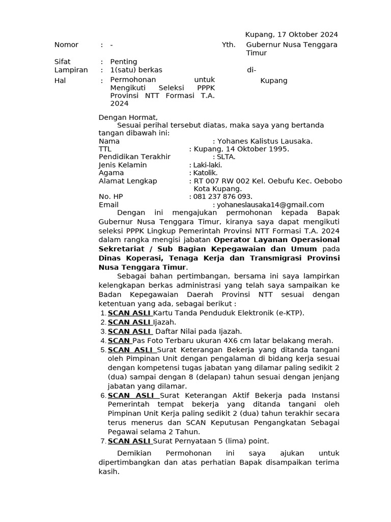 PPPK 2024 Johan | PDF