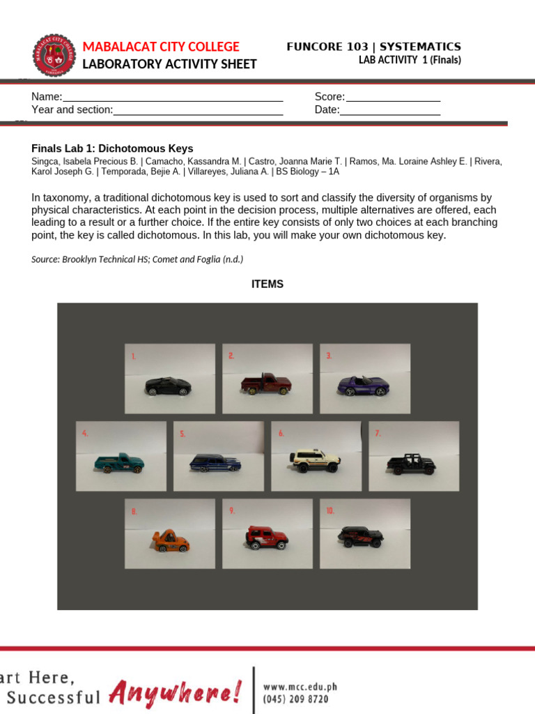 Dichotomous Key Hot Wheels | PDF | Rear Wheel Drive Vehicles | Vehicle ...