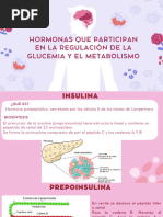 Mecanismo y Estructura del Receptor de Insulina | PDF | Insulina ...