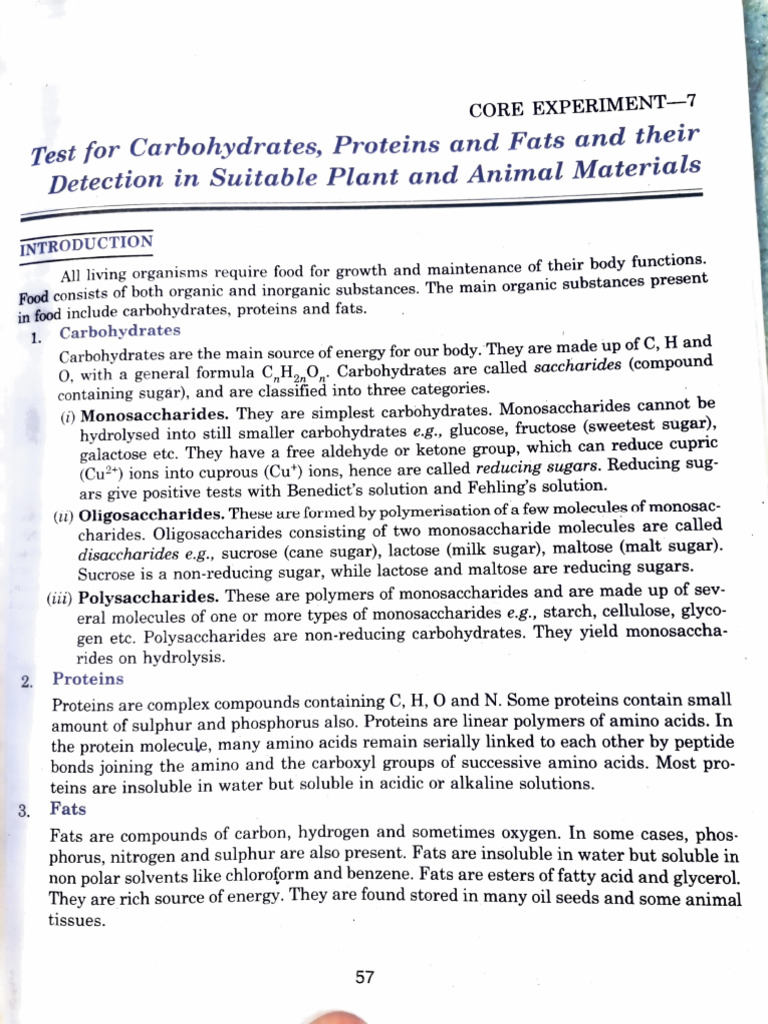 Testing Carbohydrates, Proteins, Fats | PDF | Carbohydrates | Organic ...