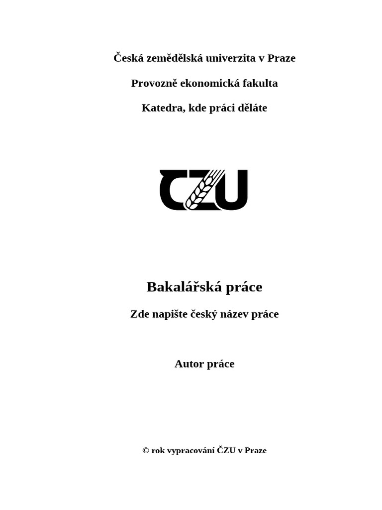 Sablona BP Pef Jednostranna 2021 | PDF