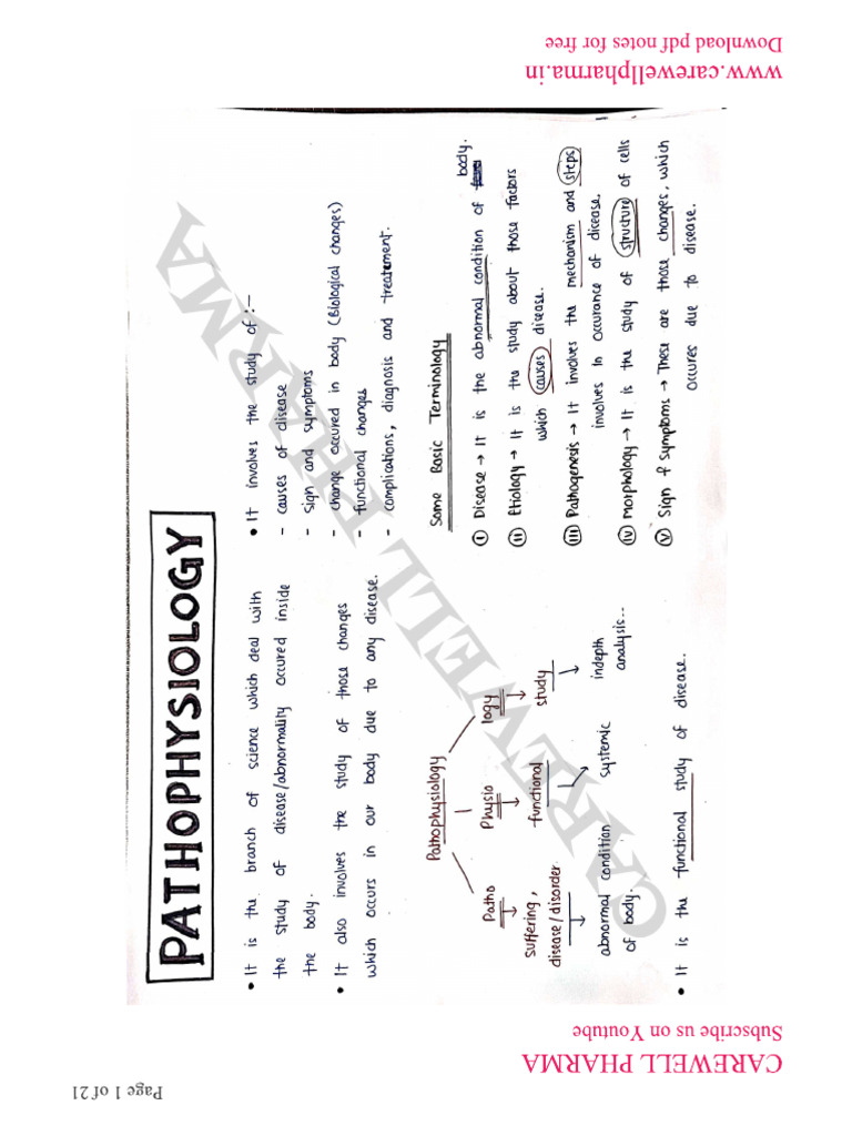 Unit 2 Pppp Pdf